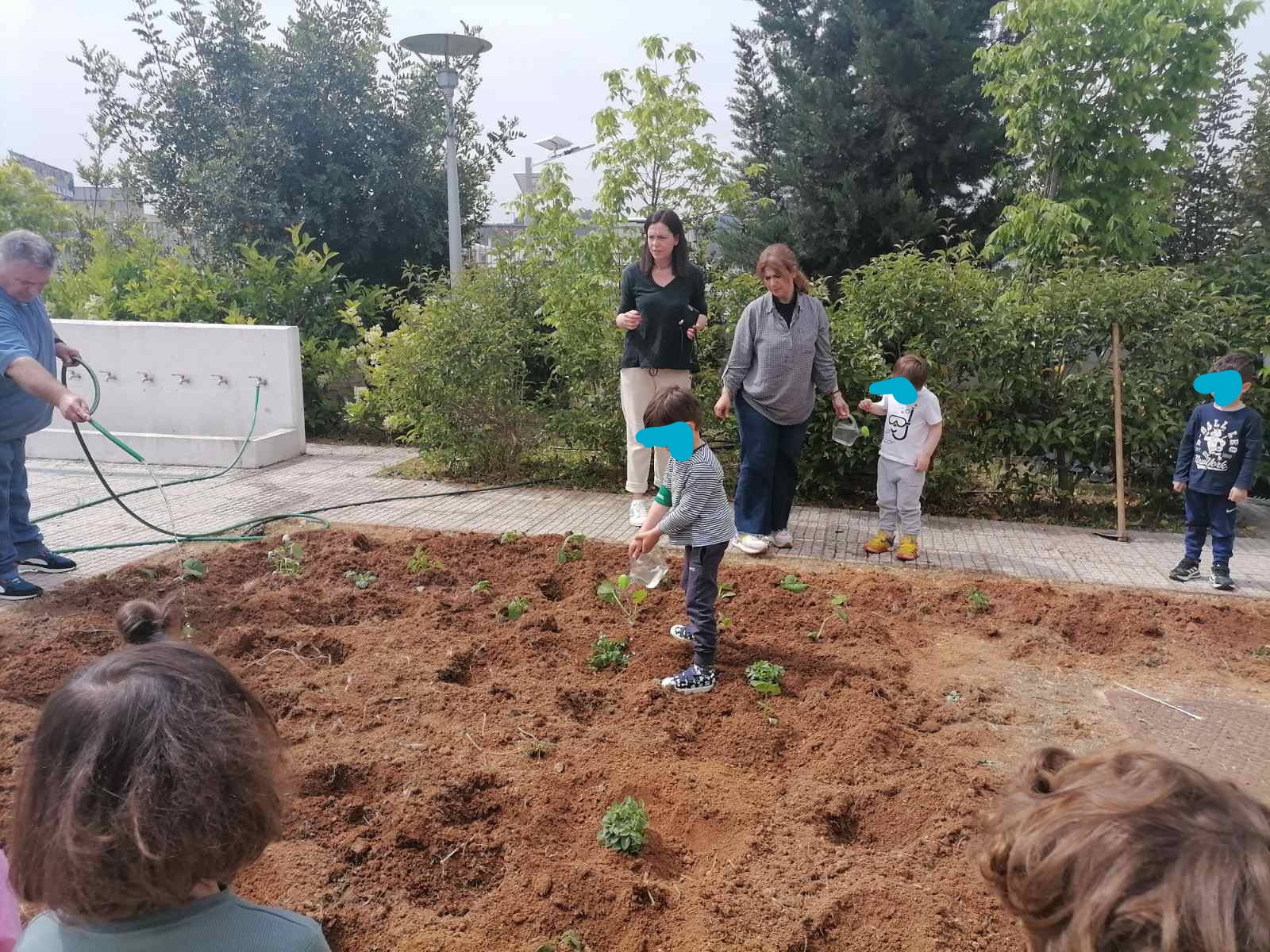 Φύτευση λαχανόκηπου στο 5ο τμήμα Προσχολικής Αγωγής - Δήμος Χαλανδρίου